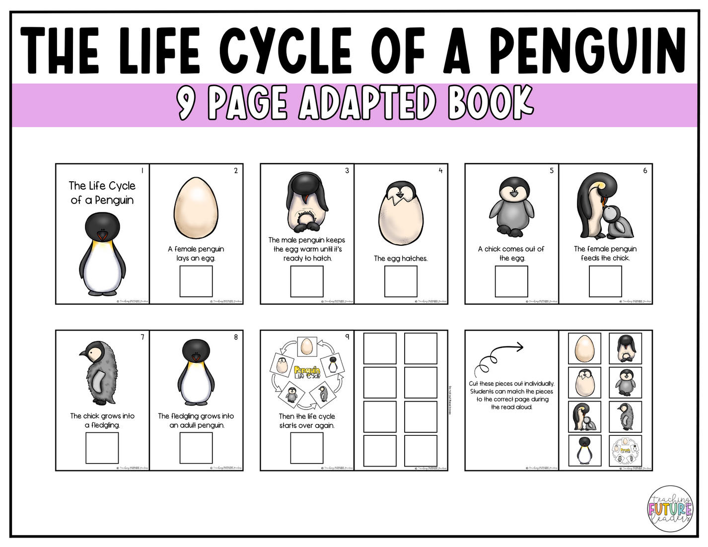 The Life Cycle of a Penguin Adapted Book – Teaching Future Leaders LLC