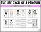 The Life Cycle of a Penguin Adapted Book – Teaching Future Leaders LLC