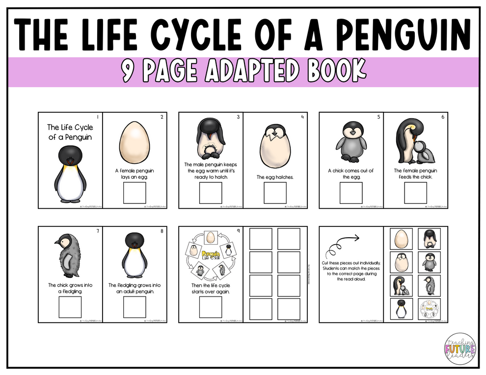 The Life Cycle of a Penguin Adapted Book – Teaching Future Leaders LLC