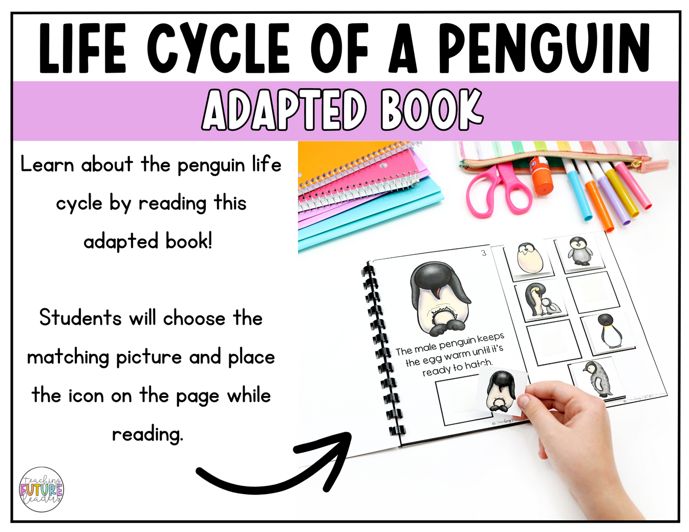 The Life Cycle of a Penguin Adapted Book – Teaching Future Leaders LLC