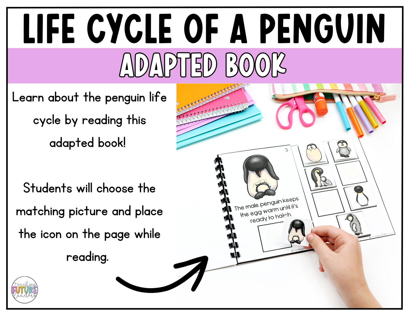 The Life Cycle of a Penguin Adapted Book – Teaching Future Leaders LLC