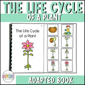 The Life Cycle of a Plant Adapted Book – Teaching Future Leaders LLC