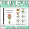 The Life Cycle of a Plant Adapted Book – Teaching Future Leaders LLC