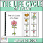 The Life Cycle of a Plant Adapted Book – Teaching Future Leaders LLC