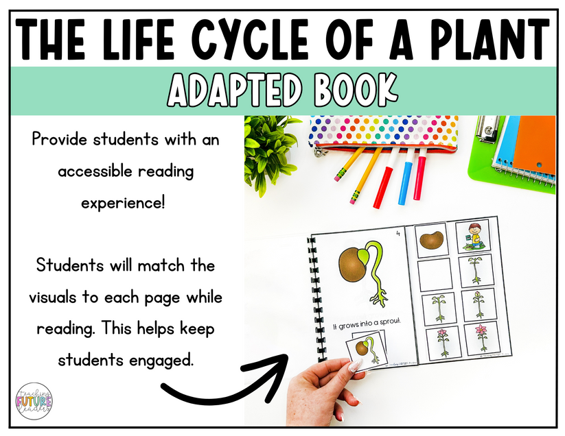 The Life Cycle of a Plant Adapted Book – Teaching Future Leaders LLC