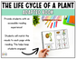 The Life Cycle of a Plant Adapted Book – Teaching Future Leaders LLC