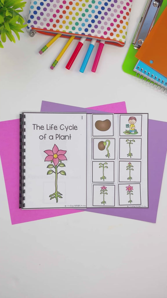 The Life Cycle of a Plant Adapted Book – Teaching Future Leaders LLC